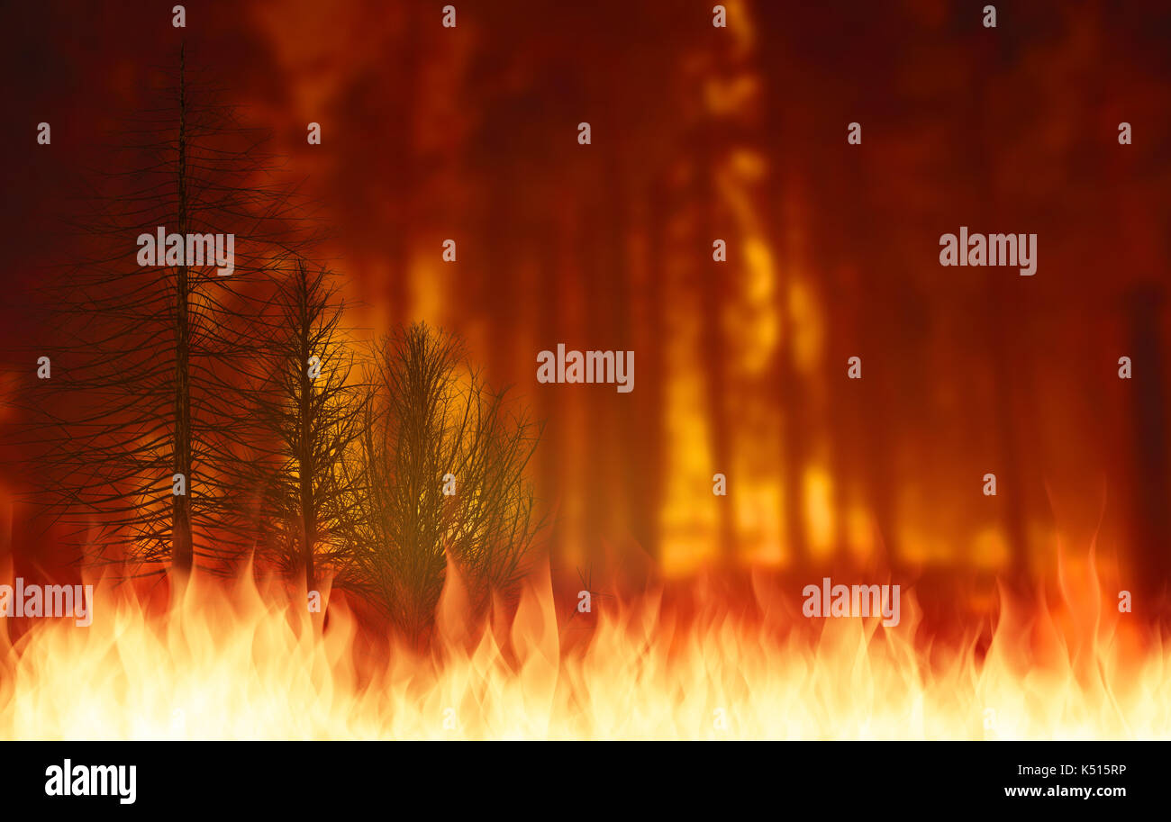 Wildfire or Forest fire graphic illustration for billboard Stock Photo ...
