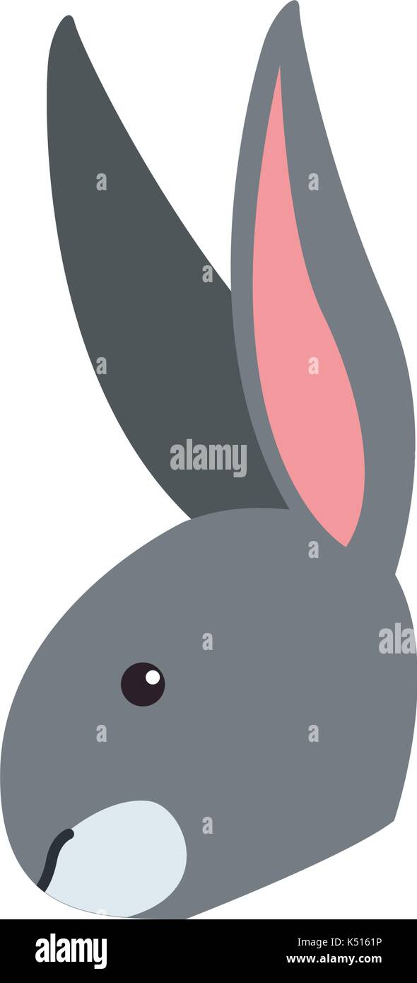Rabbit animal cartoon Stock Vector Image & Art - Alamy
