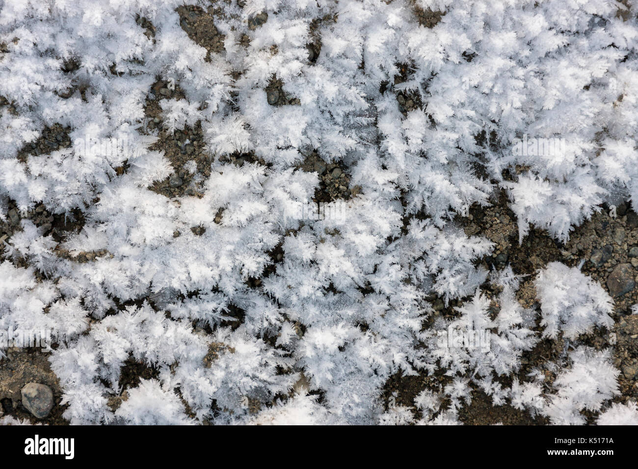 Crystals On Snow Ground