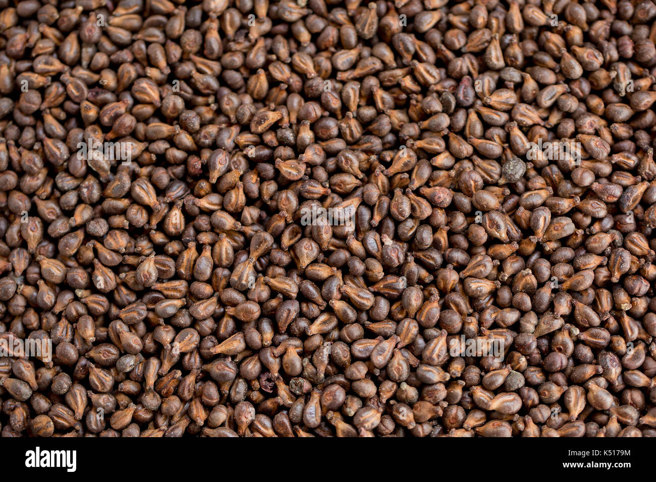 Grape pips hi-res stock photography and images - Alamy