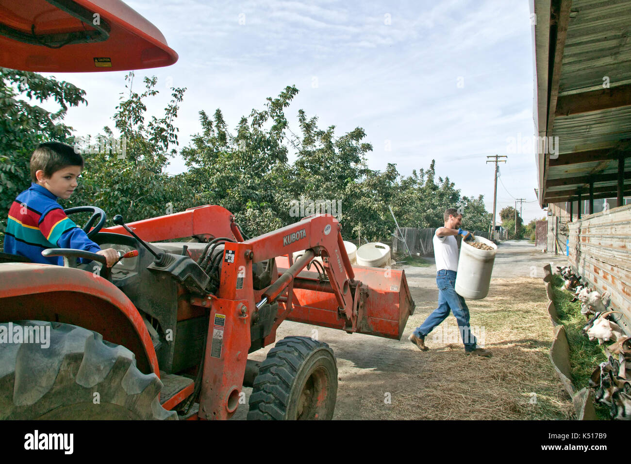 Kid feeding goat High Resolution Stock Photography and Images - Alamy