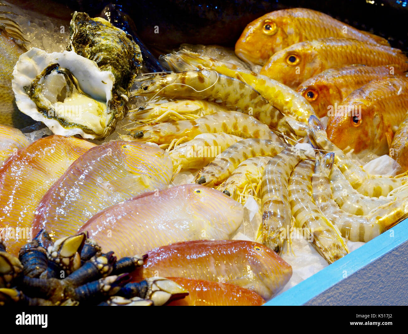 Shirms hi-res stock photography and images - Alamy