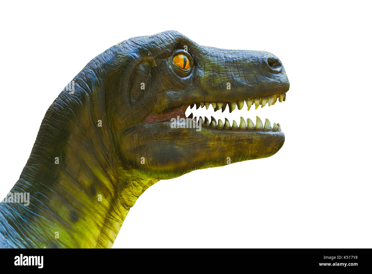 Closeup dinosaur head isolated on white Stock Photo - Alamy