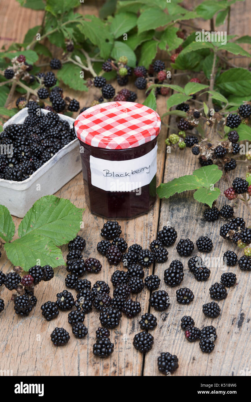 Rubus fruticosus. Homemade Blackberry jam with a punnet of foraged ...