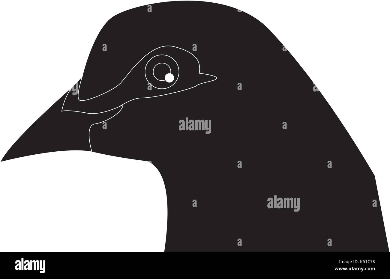 Pigeon head Stock Vector Images - Alamy