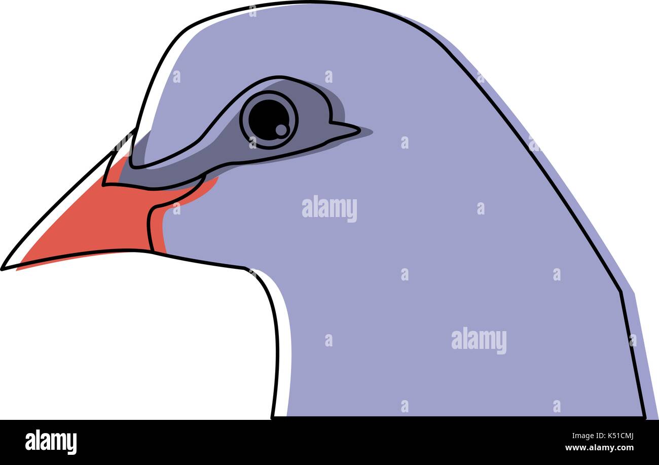 Pigeon Head Logo