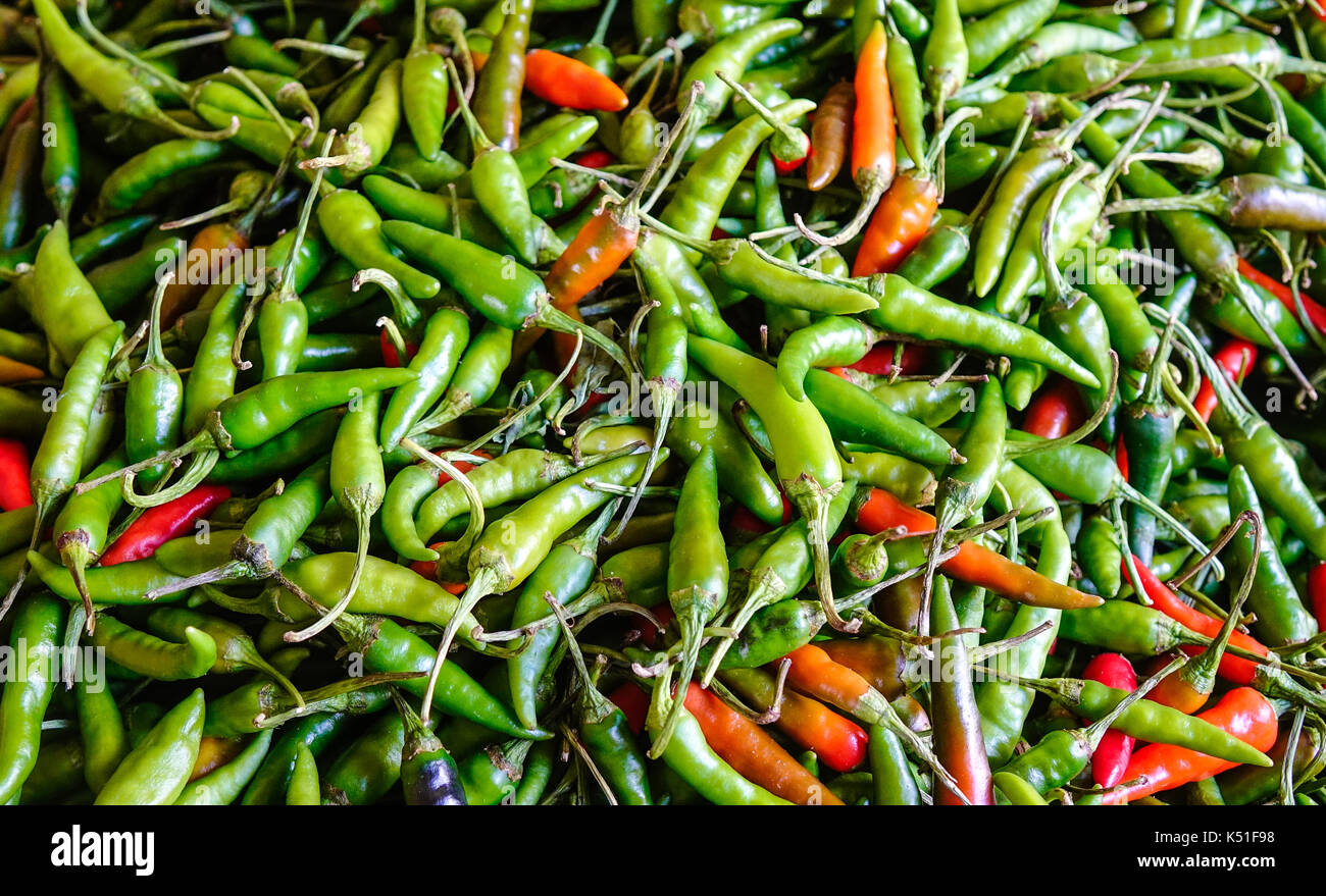 Chile and mauritius hi-res stock photography and images - Alamy