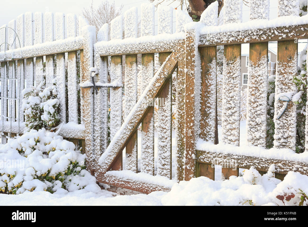 Snow covered wooden gate hi-res stock photography and images - Alamy