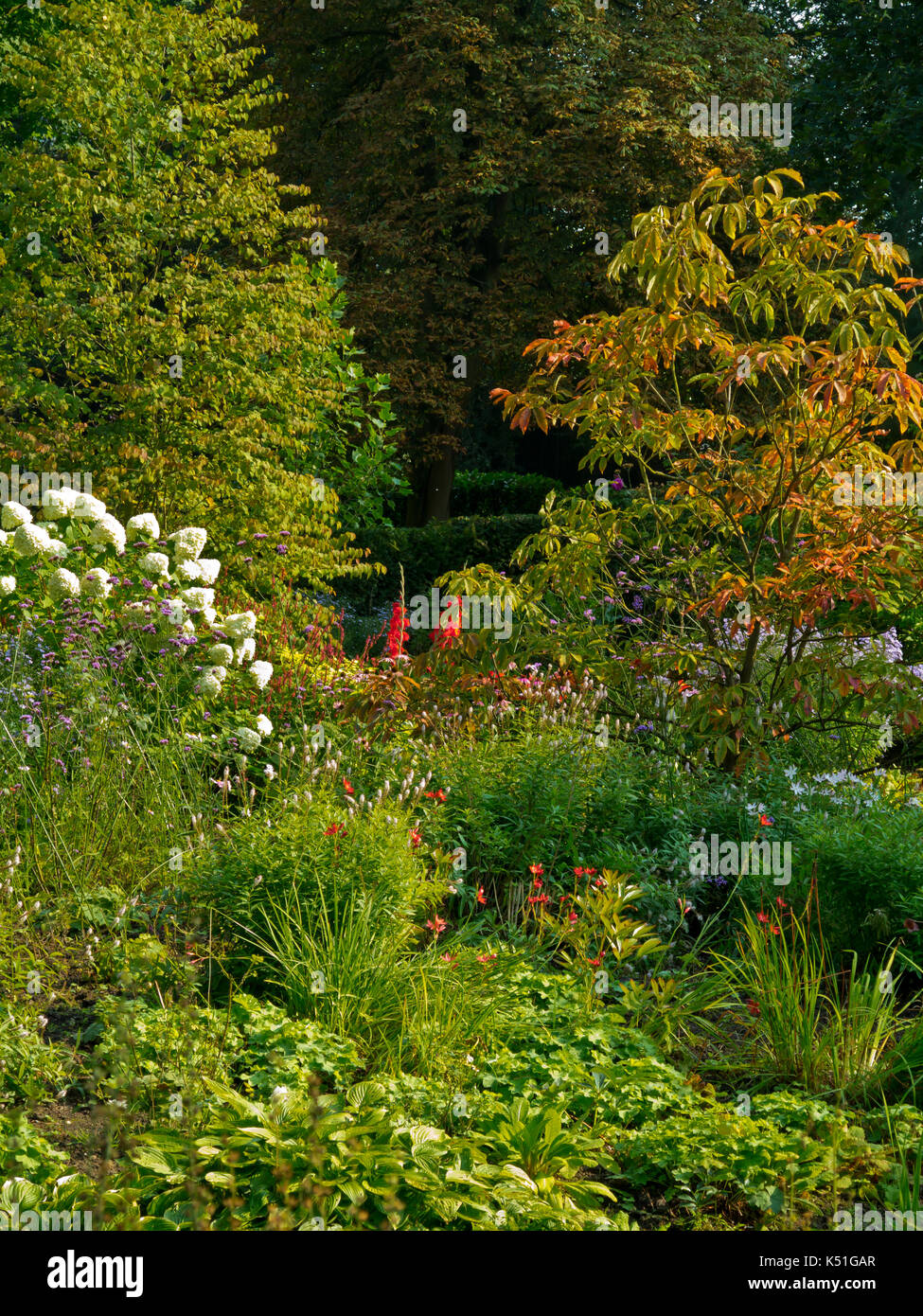 Melbourne hall gardens hi-res stock photography and images - Alamy