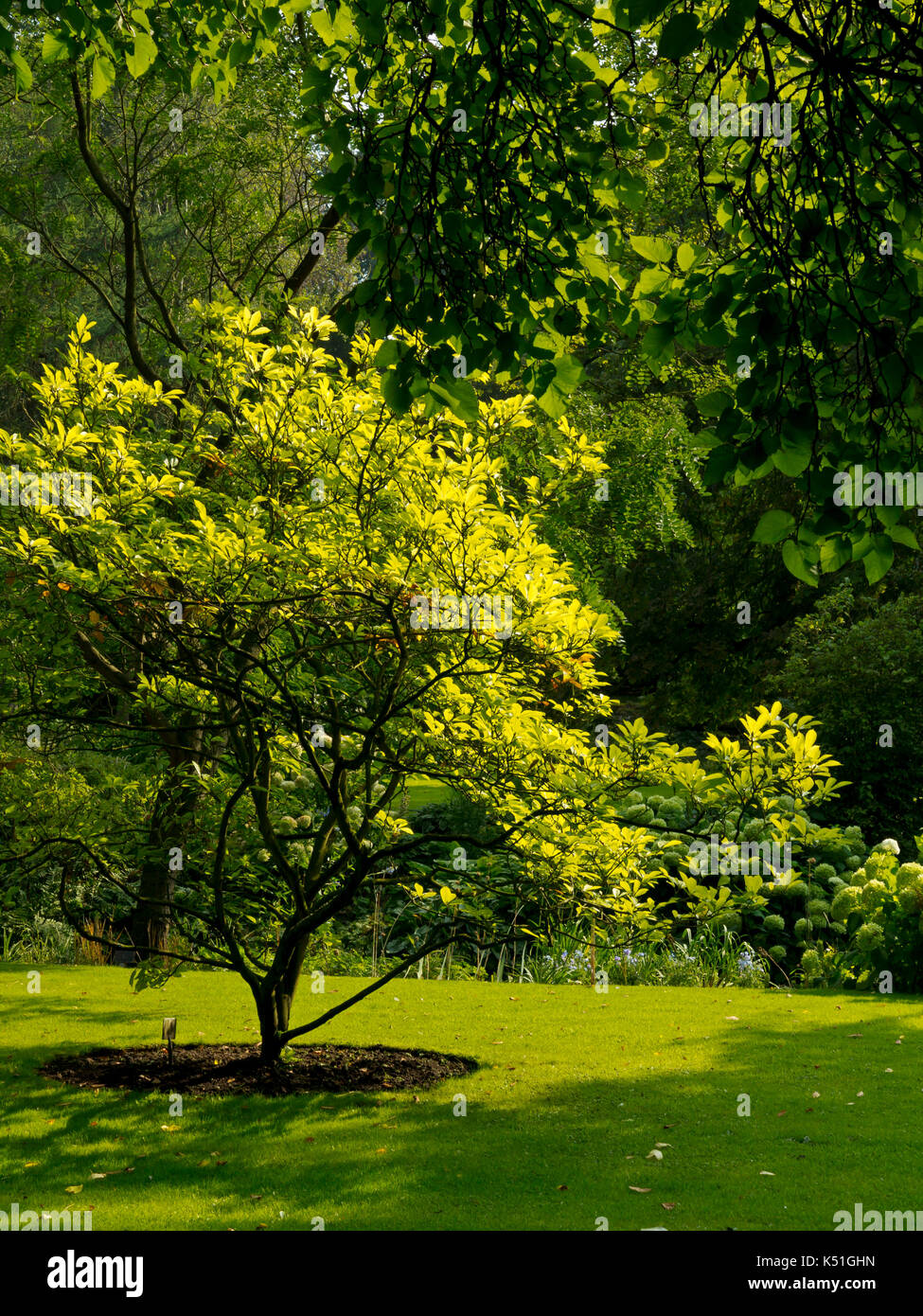 The garden at Melbourne Hall a stately home in south Derbyshire England ...
