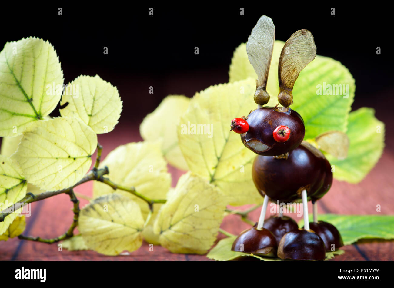 autumn figures made from chestnut fruit with creative concept Stock ...