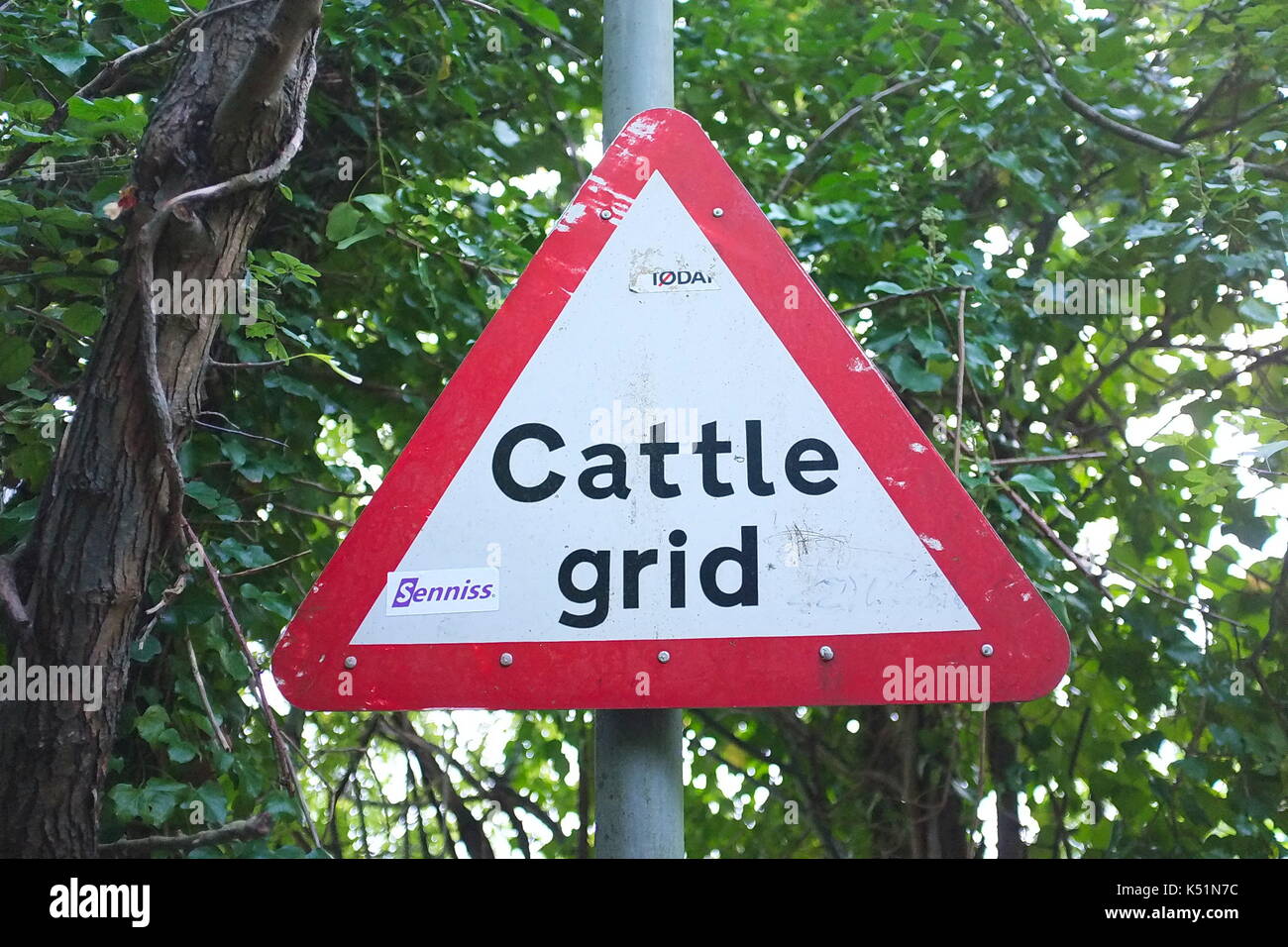 Cattle grid sign hi-res stock photography and images - Alamy