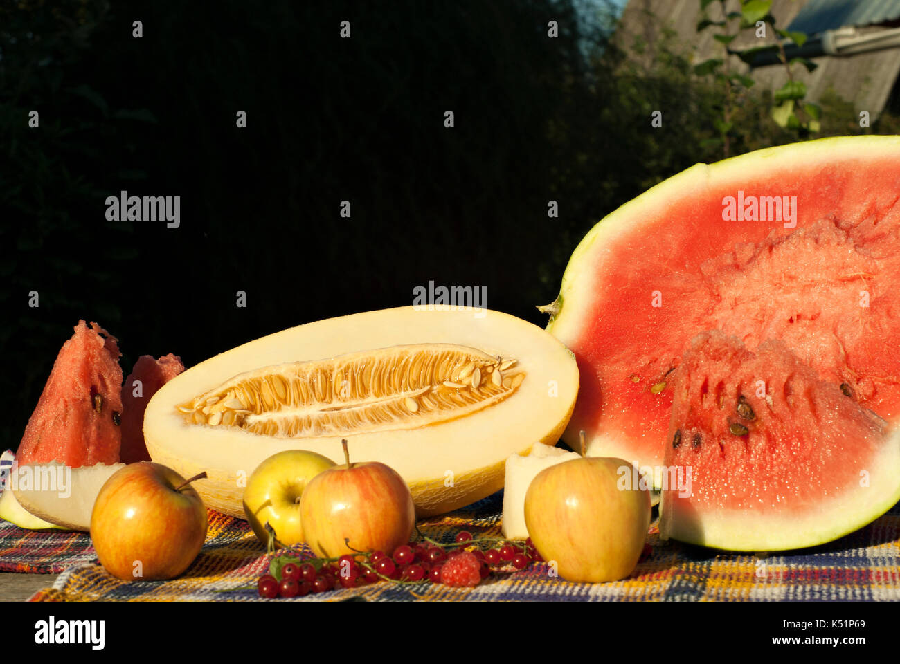 Still life with cuted melon and watermelon, apples, red currants and ...