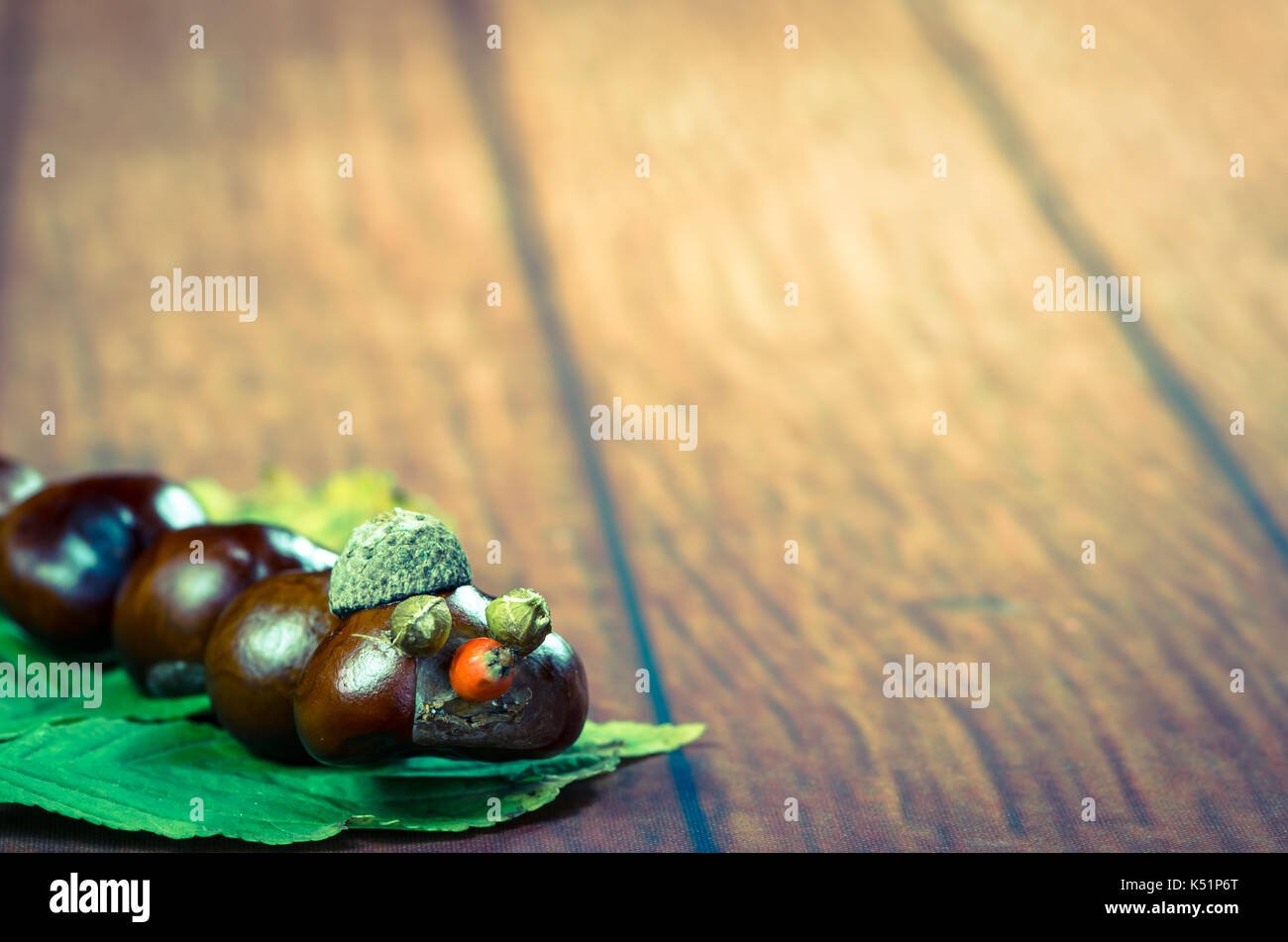 autumn figures made from chestnut fruit with creative concept Stock ...