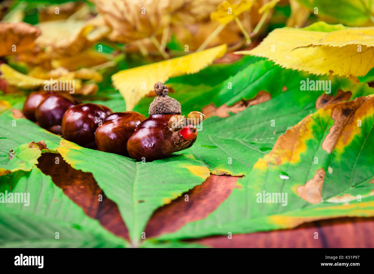 autumn figures made from chestnut fruit with creative concept Stock ...