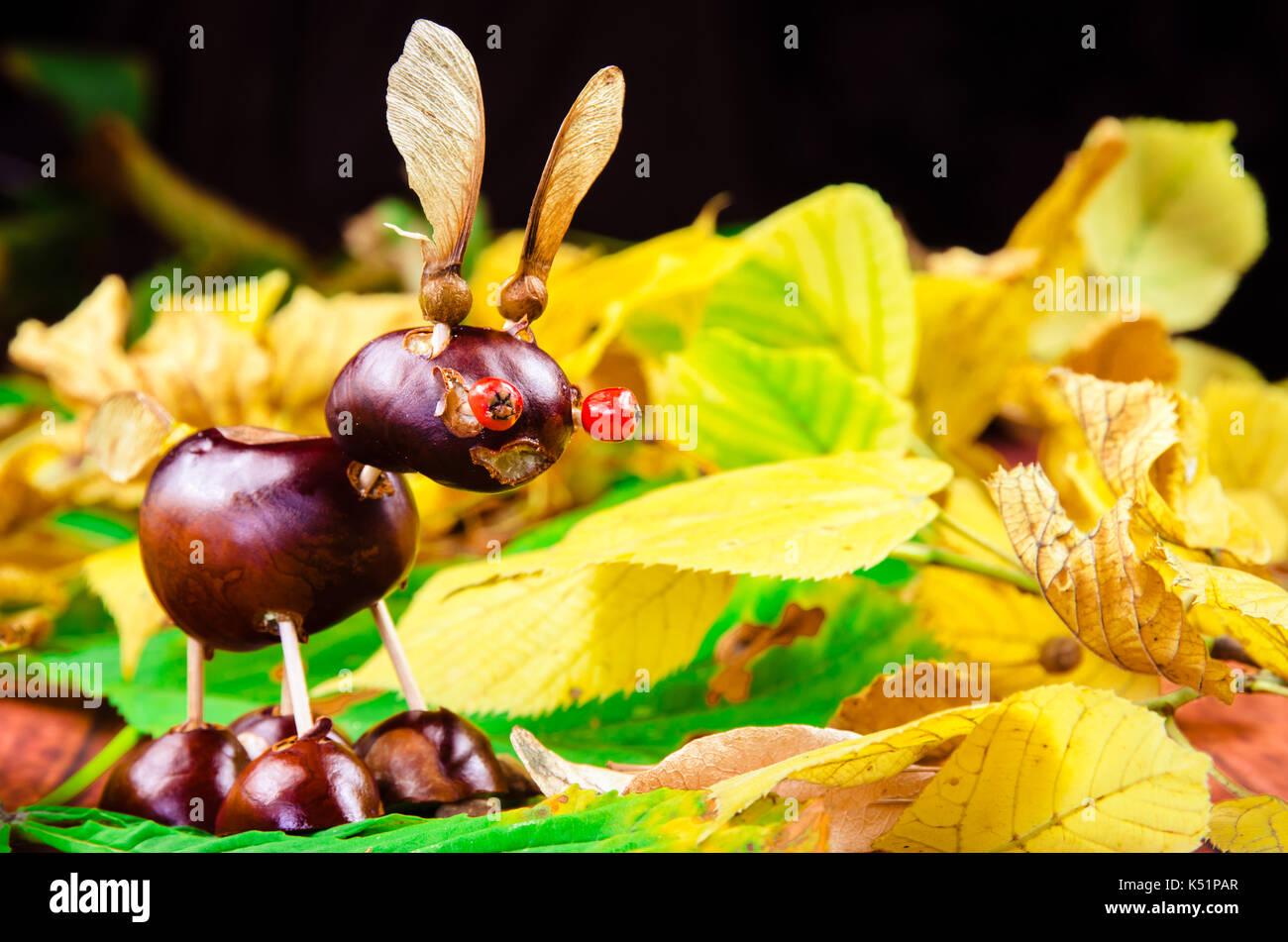 autumn figures made from chestnut fruit with creative concept Stock ...