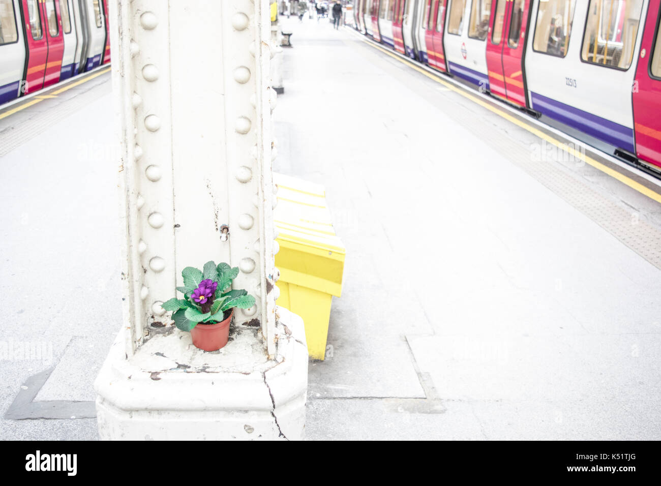 Tiny plant pot at a train station Stock Photo - Alamy