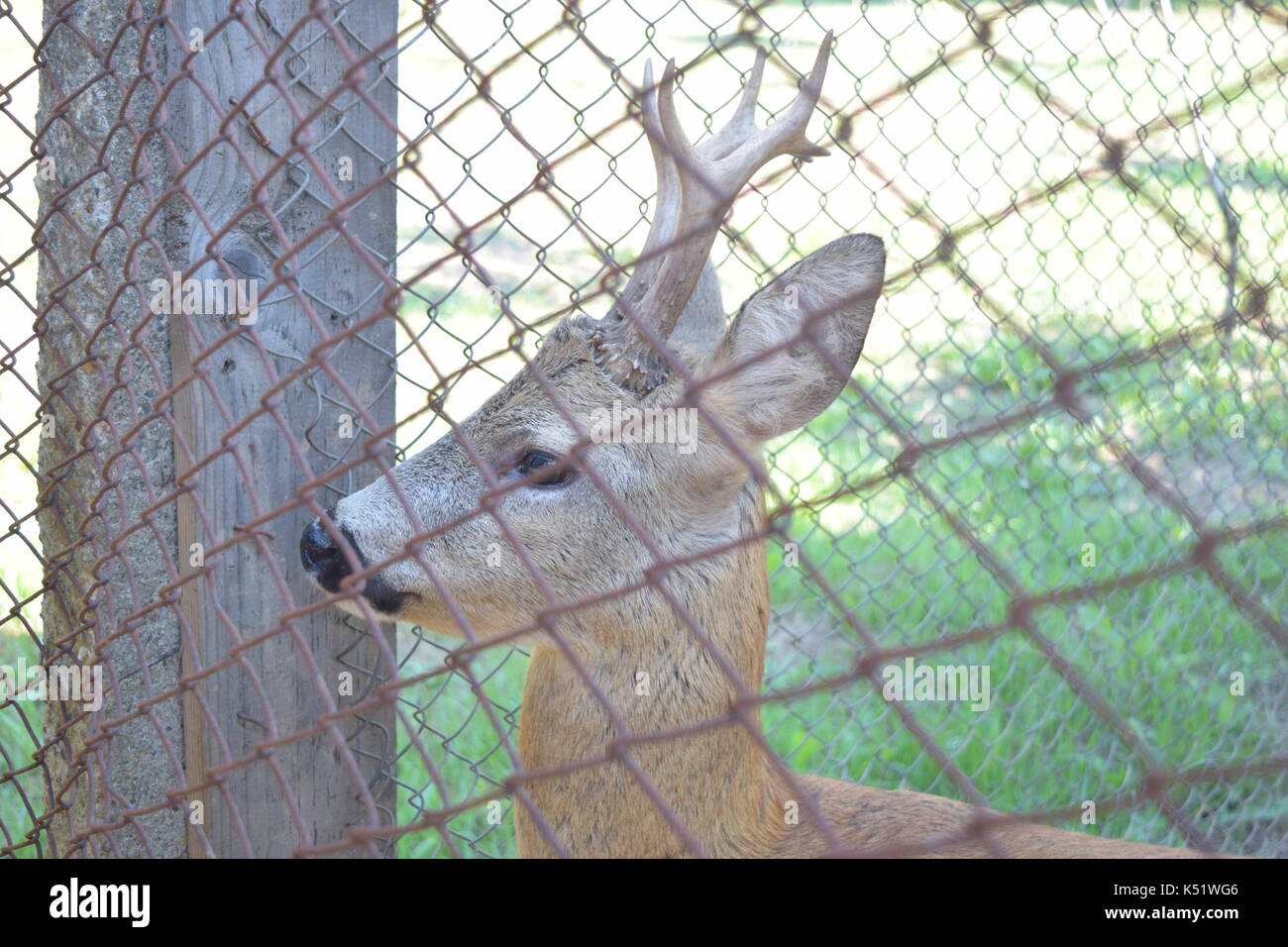Jousting ground hi-res stock photography and images - Alamy