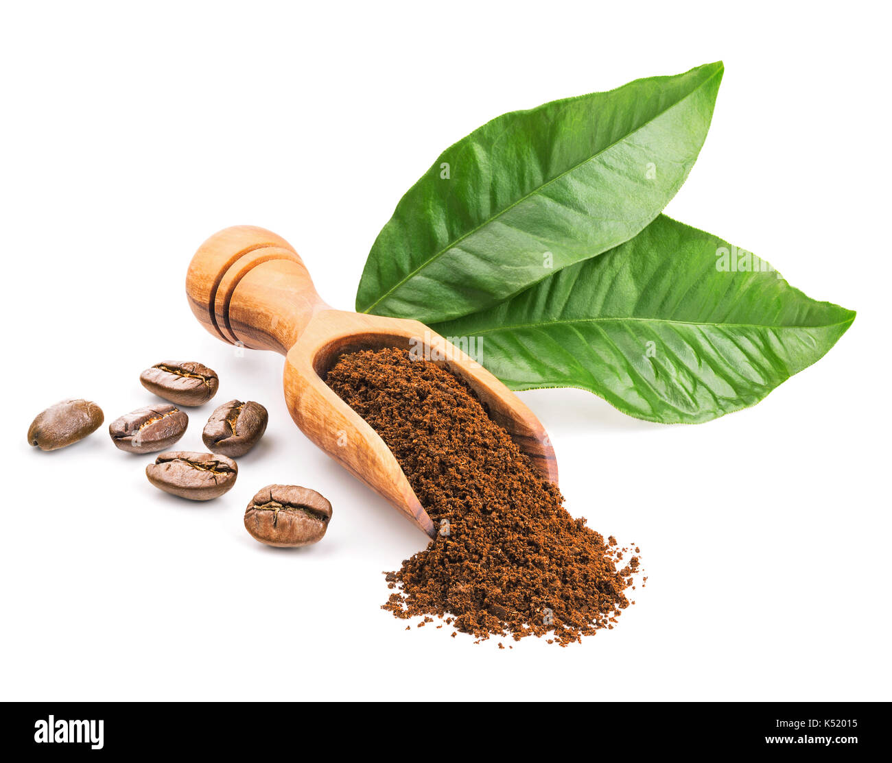 Coffee leaves isolated on Cut Out Stock Images & Pictures - Alamy