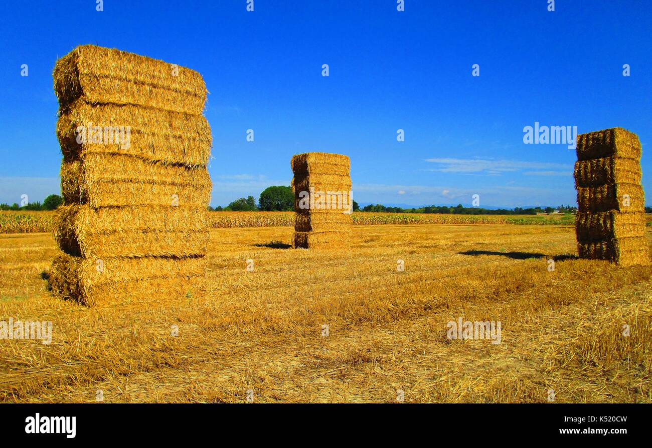 straw towers 4 Stock Photo - Alamy