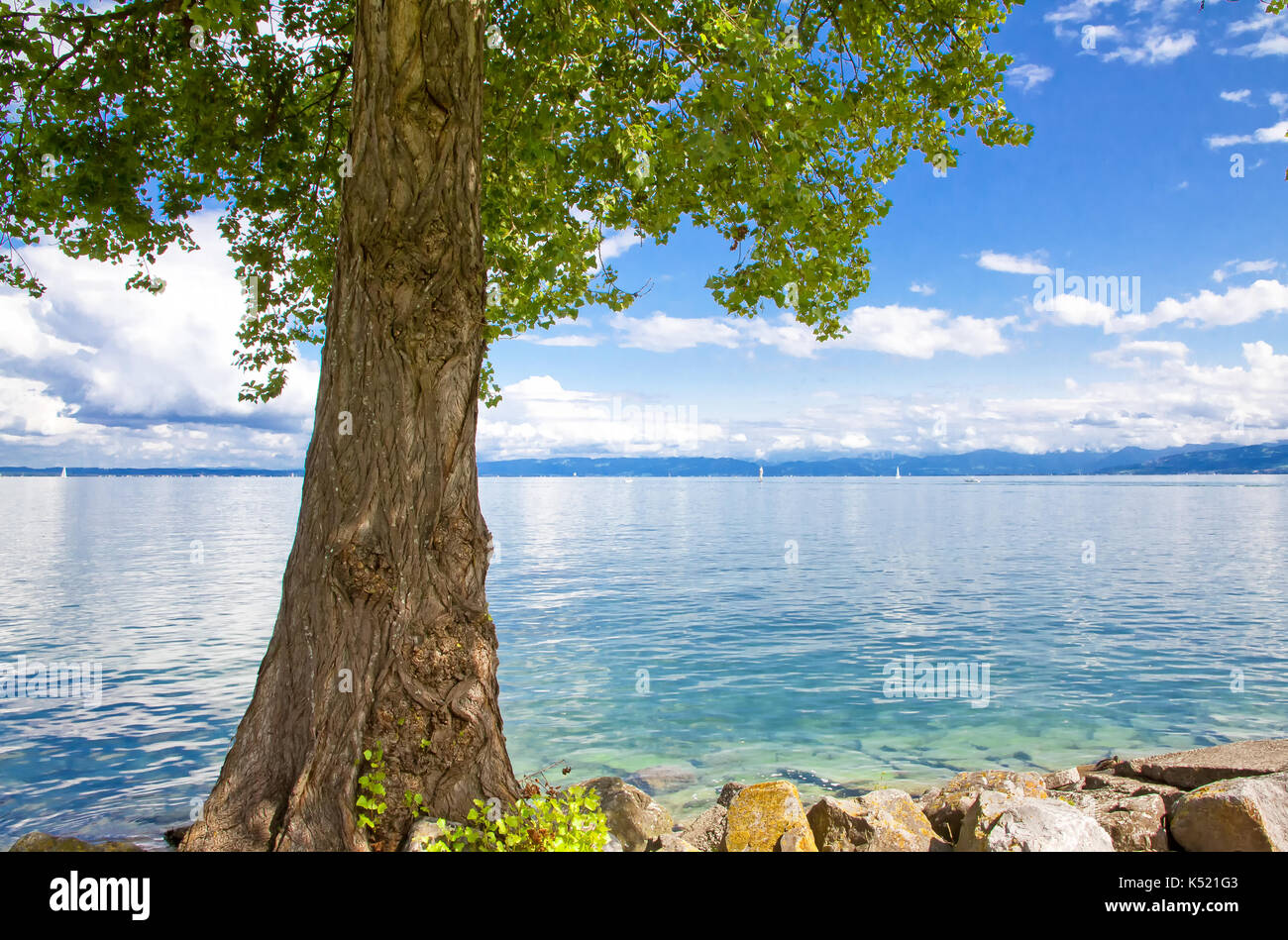 View on lake constance, Bodensee Switzerland Stock Photo - Alamy