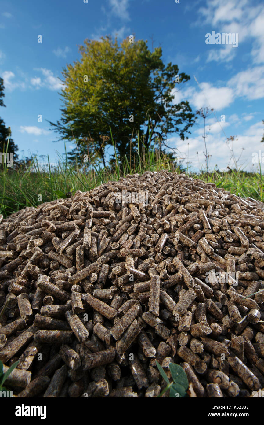 Pile of wooden pellets lying on meadow against tree and blue sky in the ...