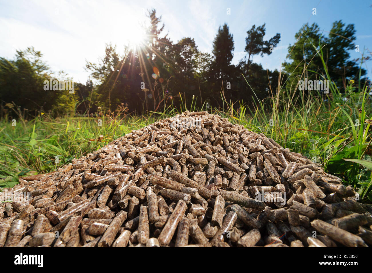 Pile of wooden pellets lying on meadow against forrest, blue sky and ...