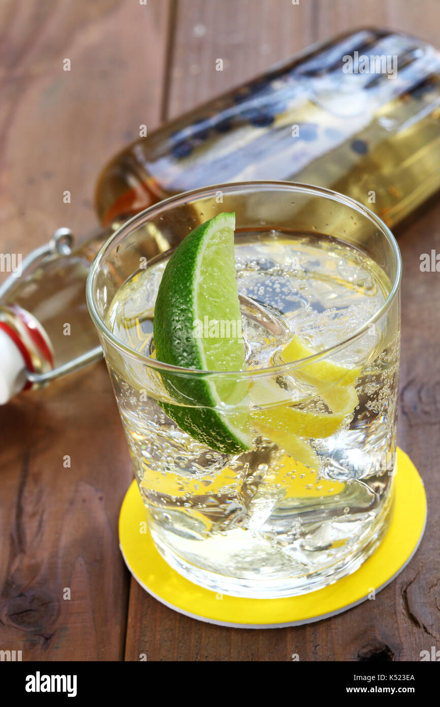 infusion gin, homemade gin, DIY gin, craft gin, gin and tonic Stock ...