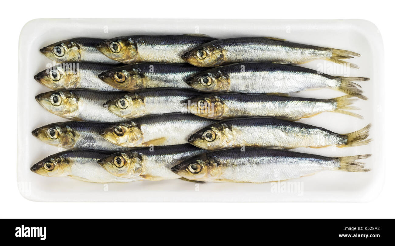 Fresh sprat Cut Out Stock Images & Pictures - Alamy