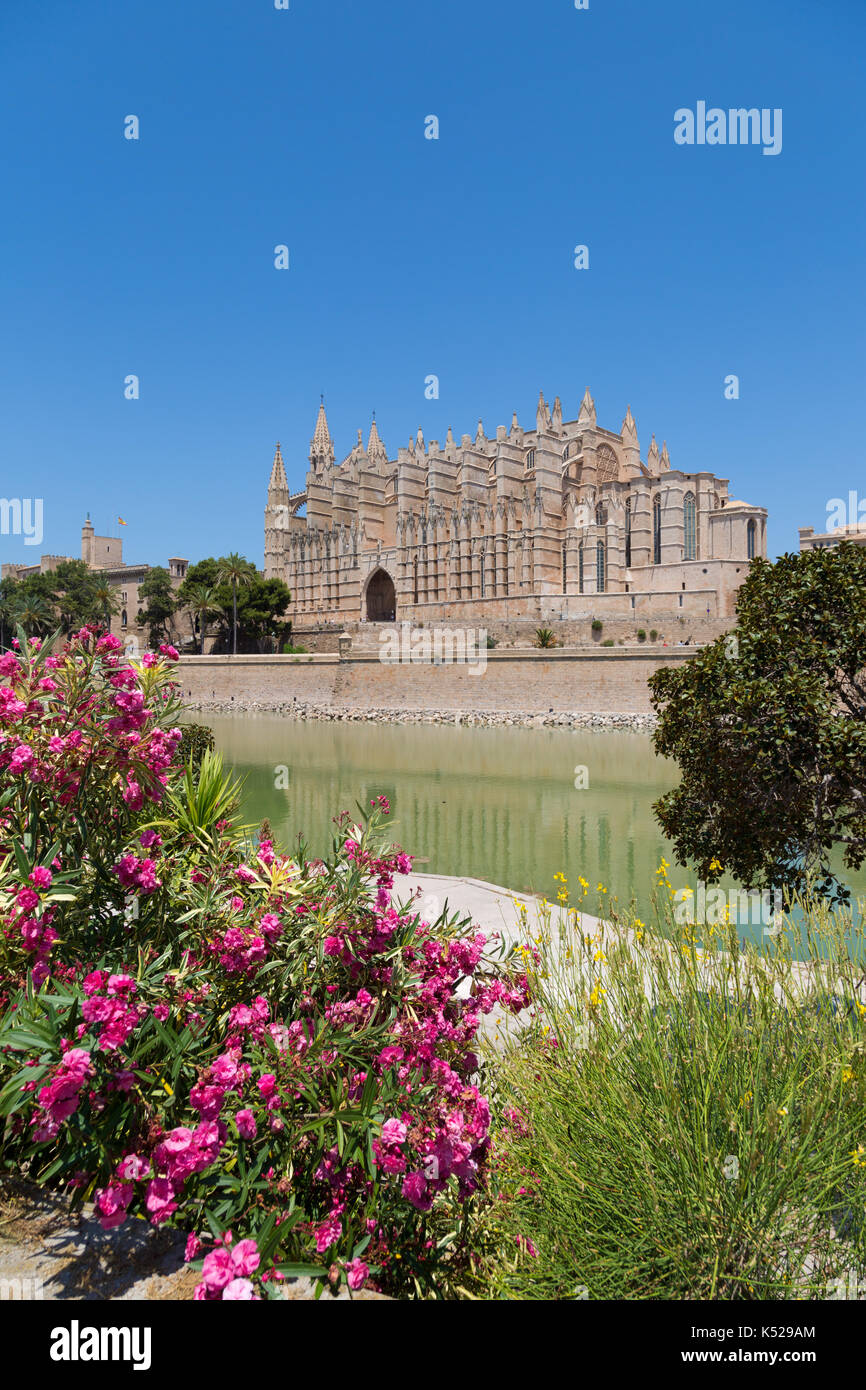 Maria palma hi-res stock photography and images - Alamy