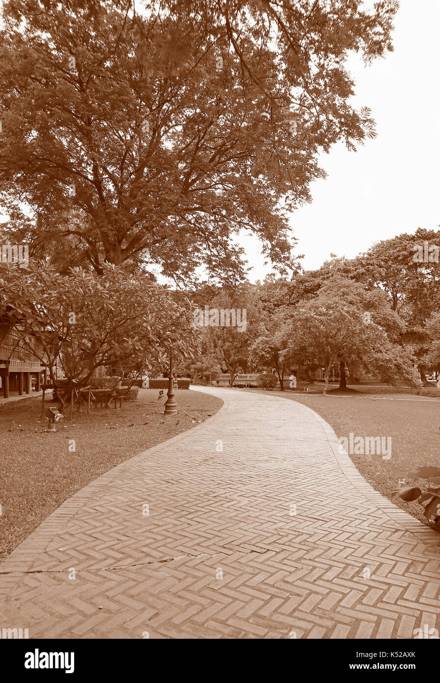 Sepia Tone of Brick Paver Walkway in the Garden, Vertical Photo Stock ...