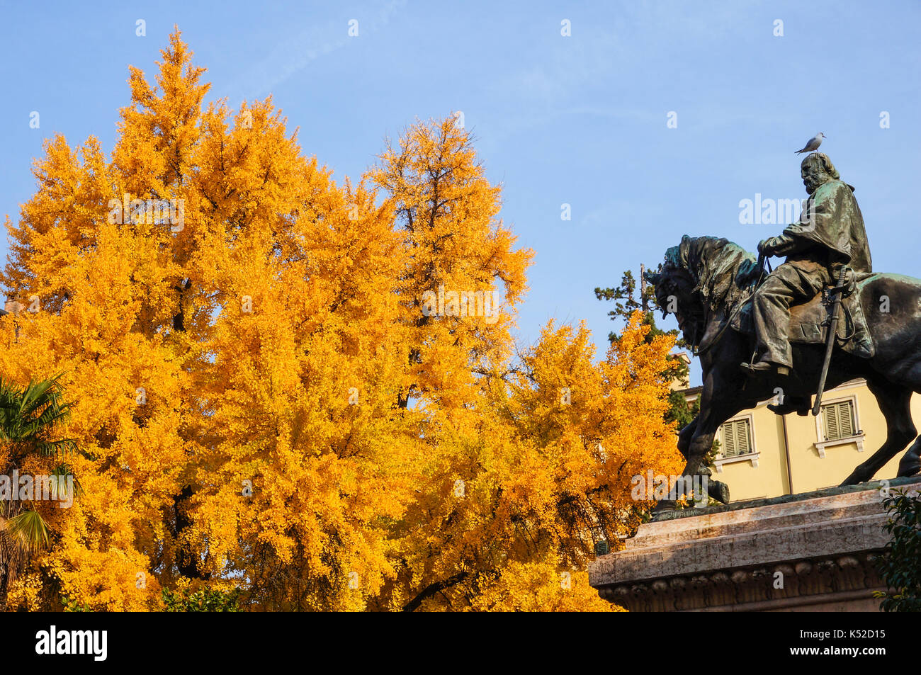 Statue of Garibaldi with beautiful autumn colors in the background ...