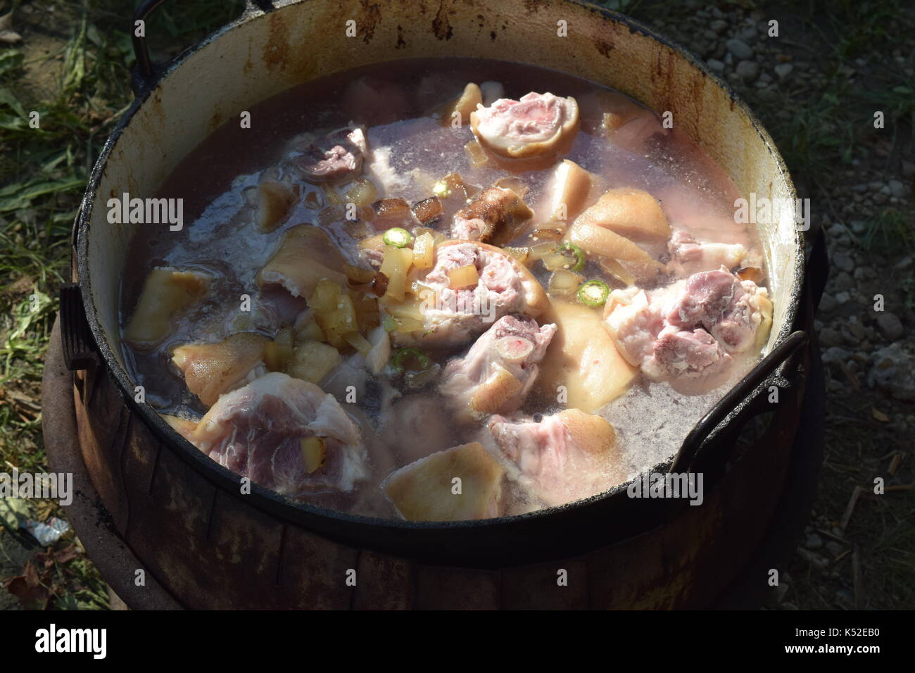 Preparation of juicy stew Stock Photo - Alamy