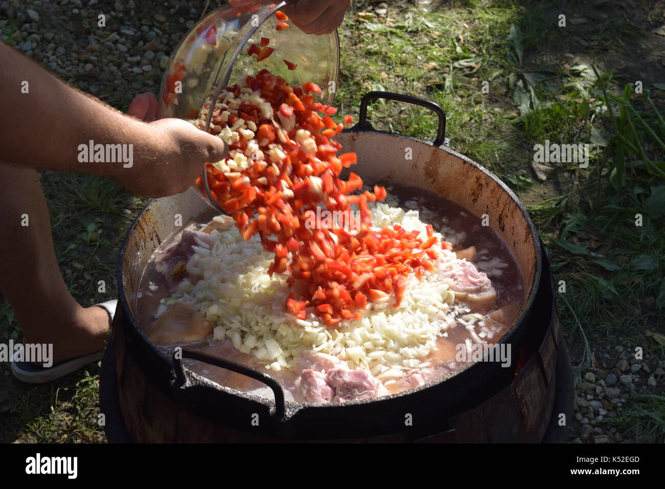 Preparation of juicy stew in a large pot Stock Photo - Alamy