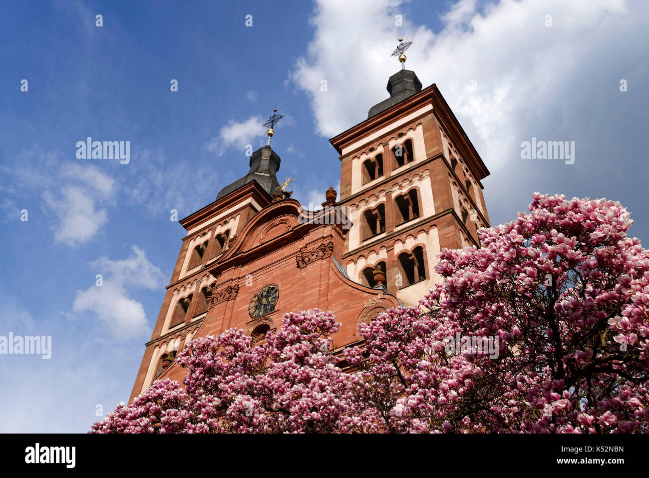 Flowering magnolia in front of Abbey church of the former Benedictine ...