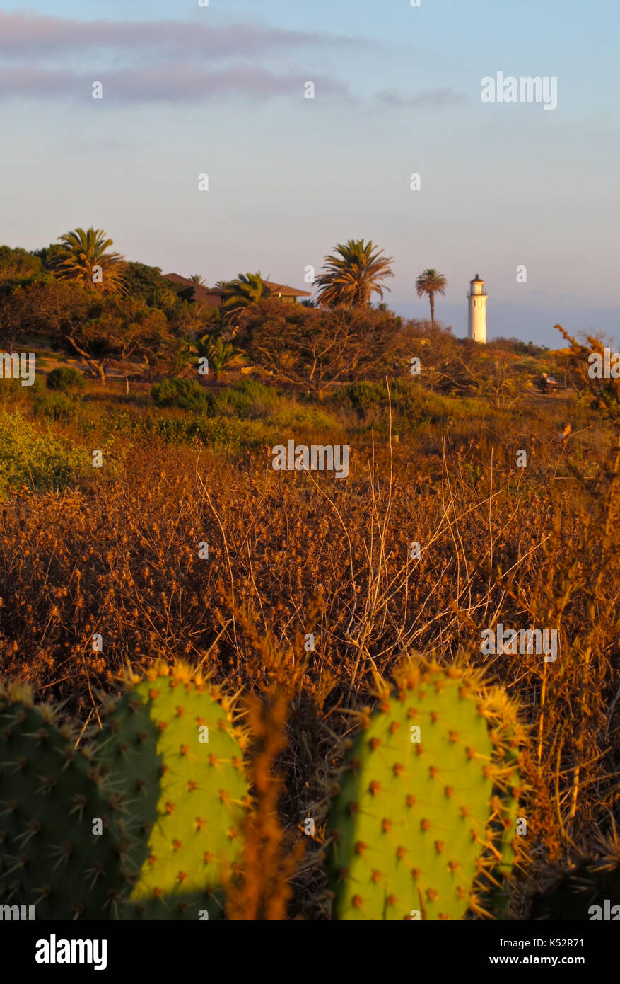 Point Vicente Lighthouse and Cactus, Palos Verdes Peninsula, Los ...