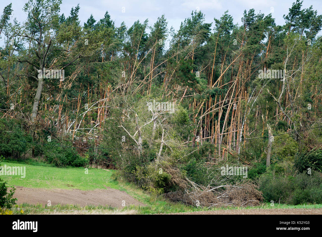 Windthrow hi-res stock photography and images - Alamy