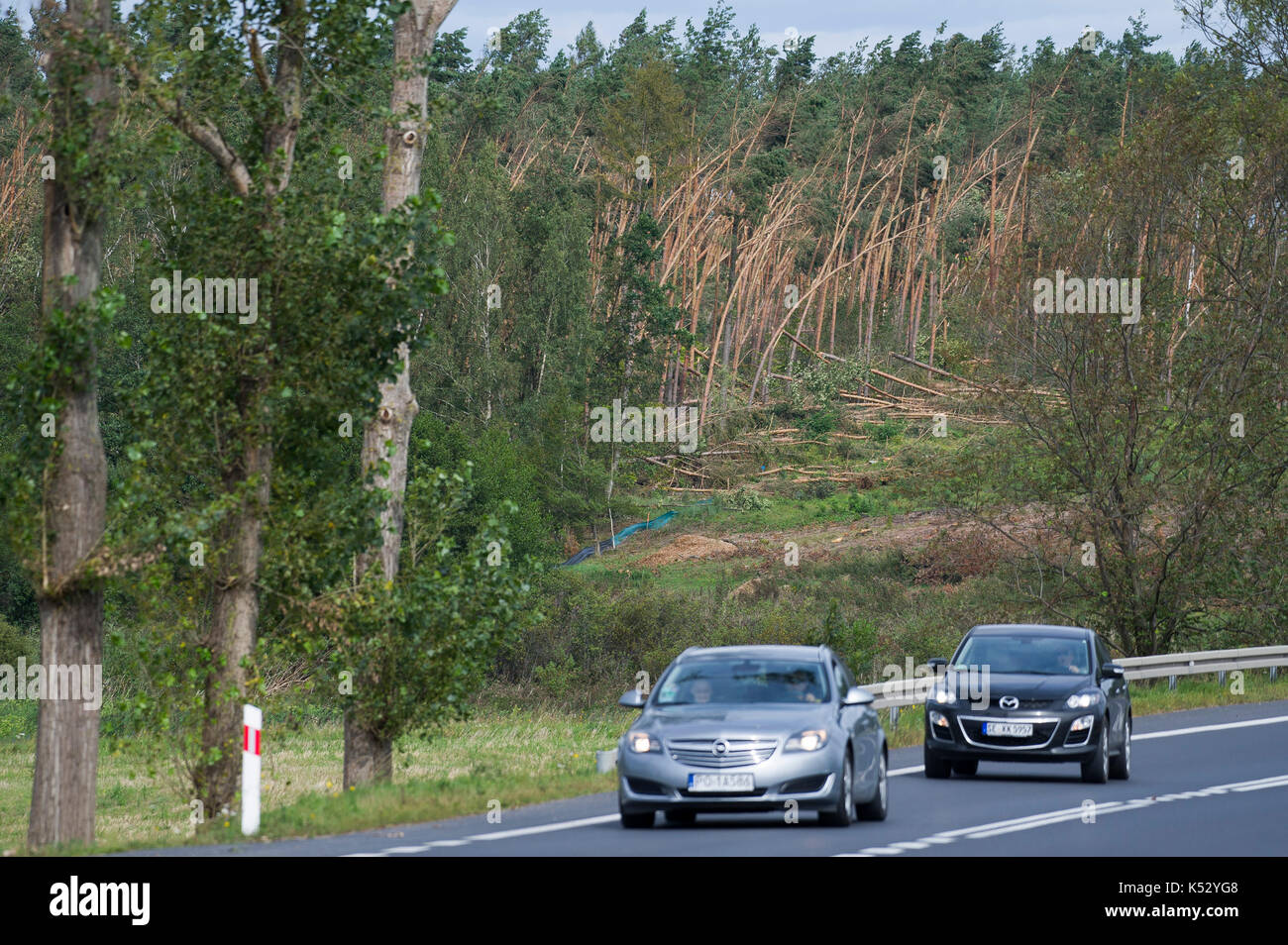 Fallen trees in forest caused by extremely high speed wind during the ...