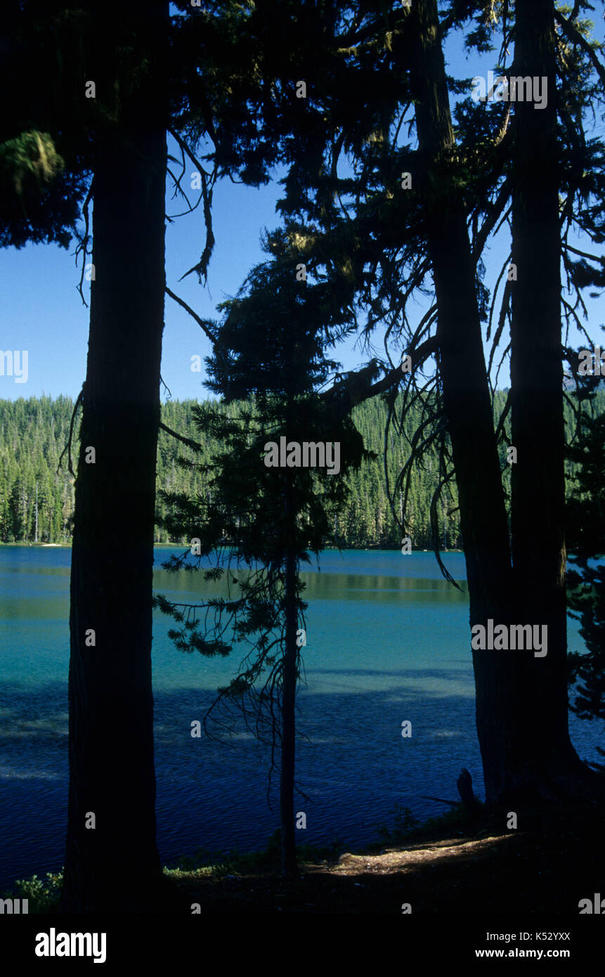 Bobby Lake, Deschutes National Forest, Oregon Stock Photo - Alamy