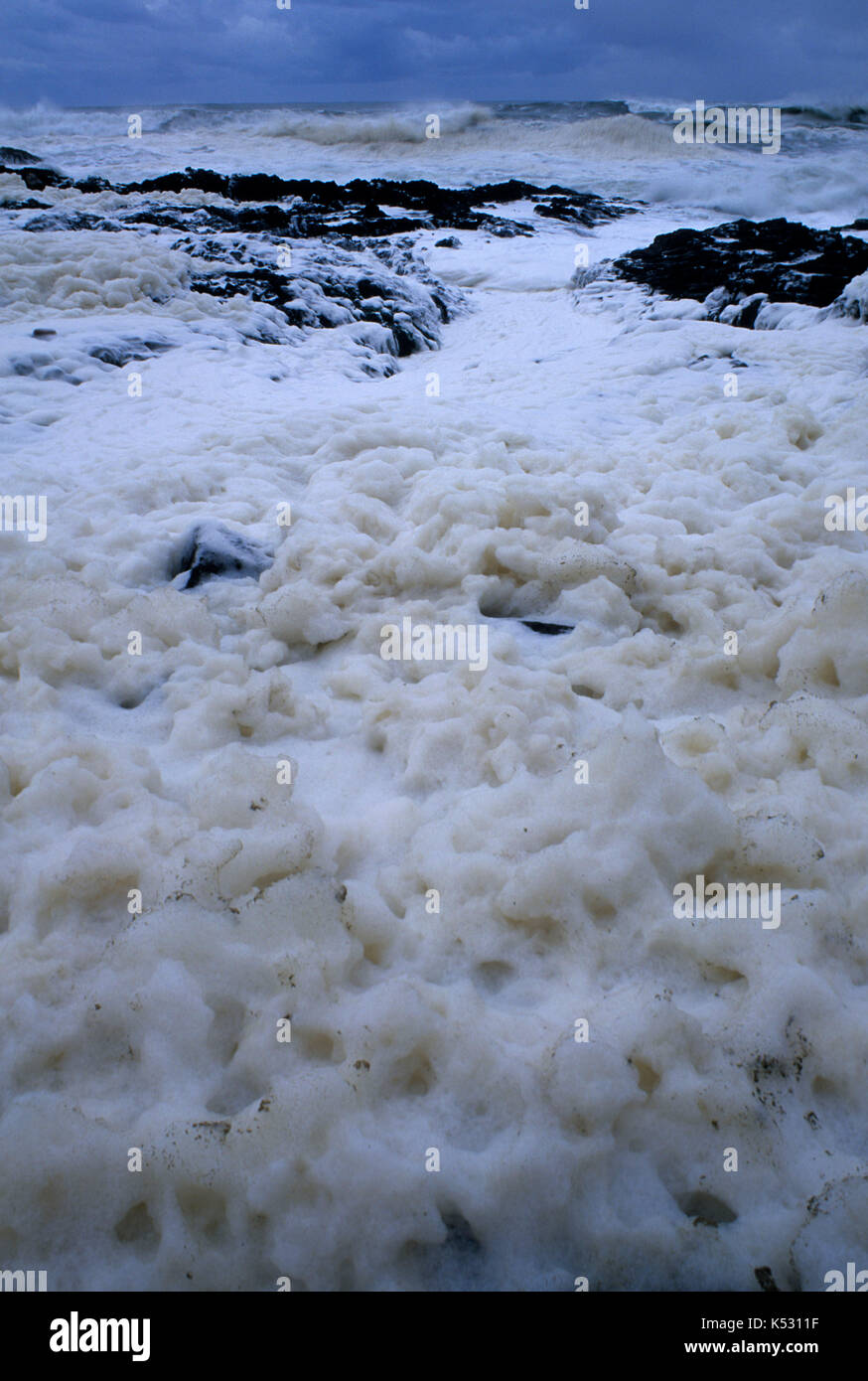 Beach foam on Captain Cook Trail, Cape Perpetua Scenic Recreation Area ...