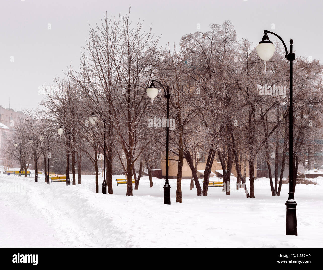 Snowy walk in the park hi-res stock photography and images - Alamy