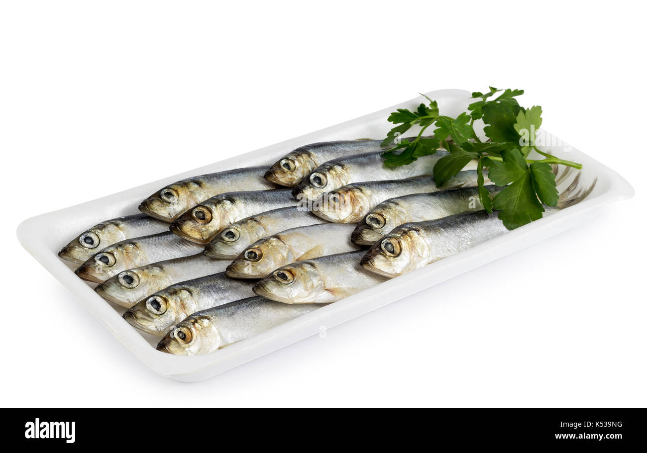 Sprat catch Cut Out Stock Images & Pictures - Alamy