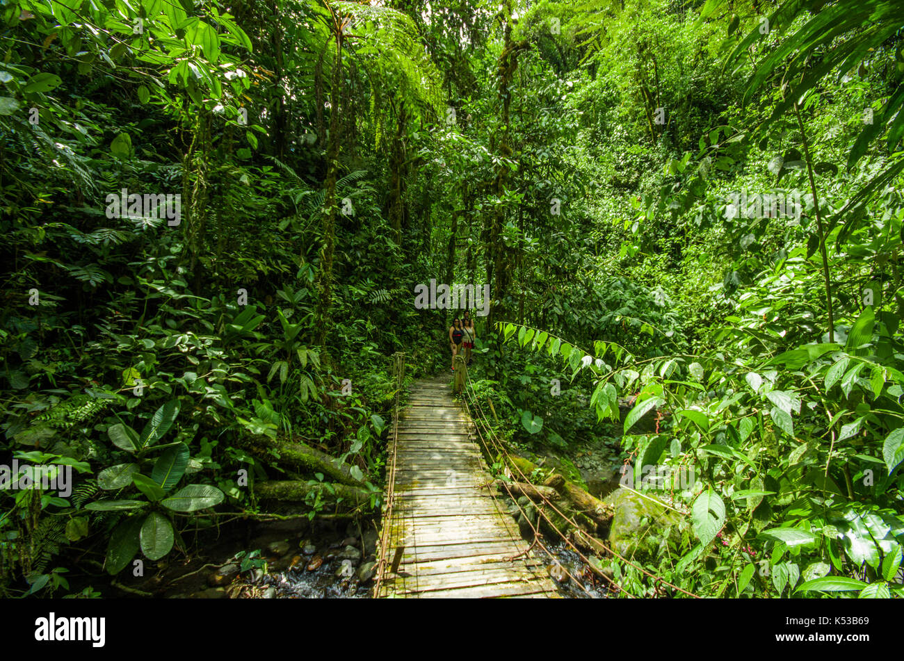 MINDO, ECUADOR - AUGUST 27, 2017: Beautiful wooden bridge in hill rain ...