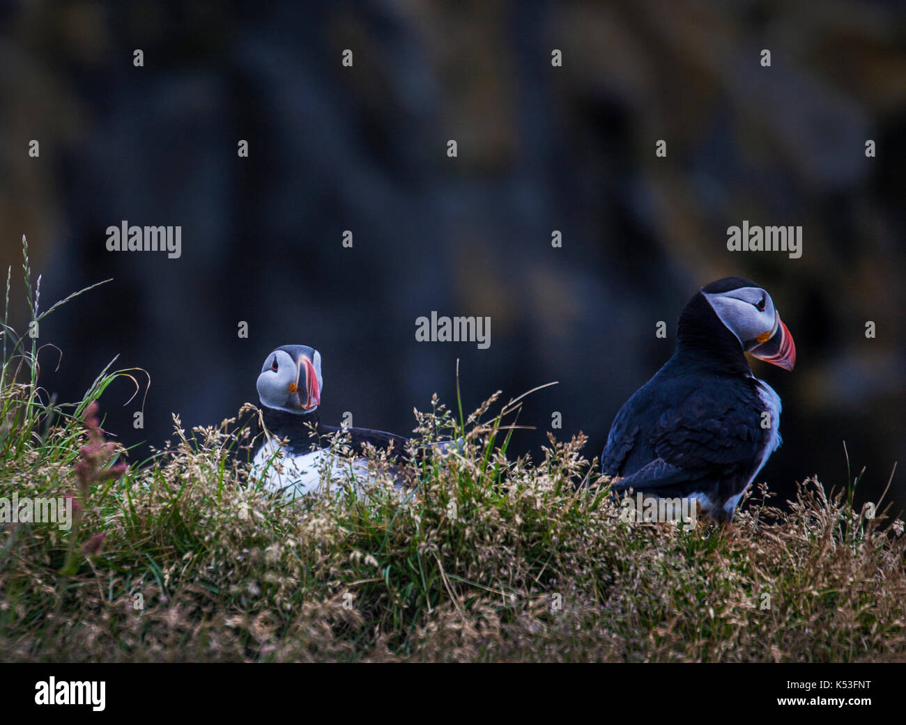 300ppi hi-res stock photography and images - Alamy