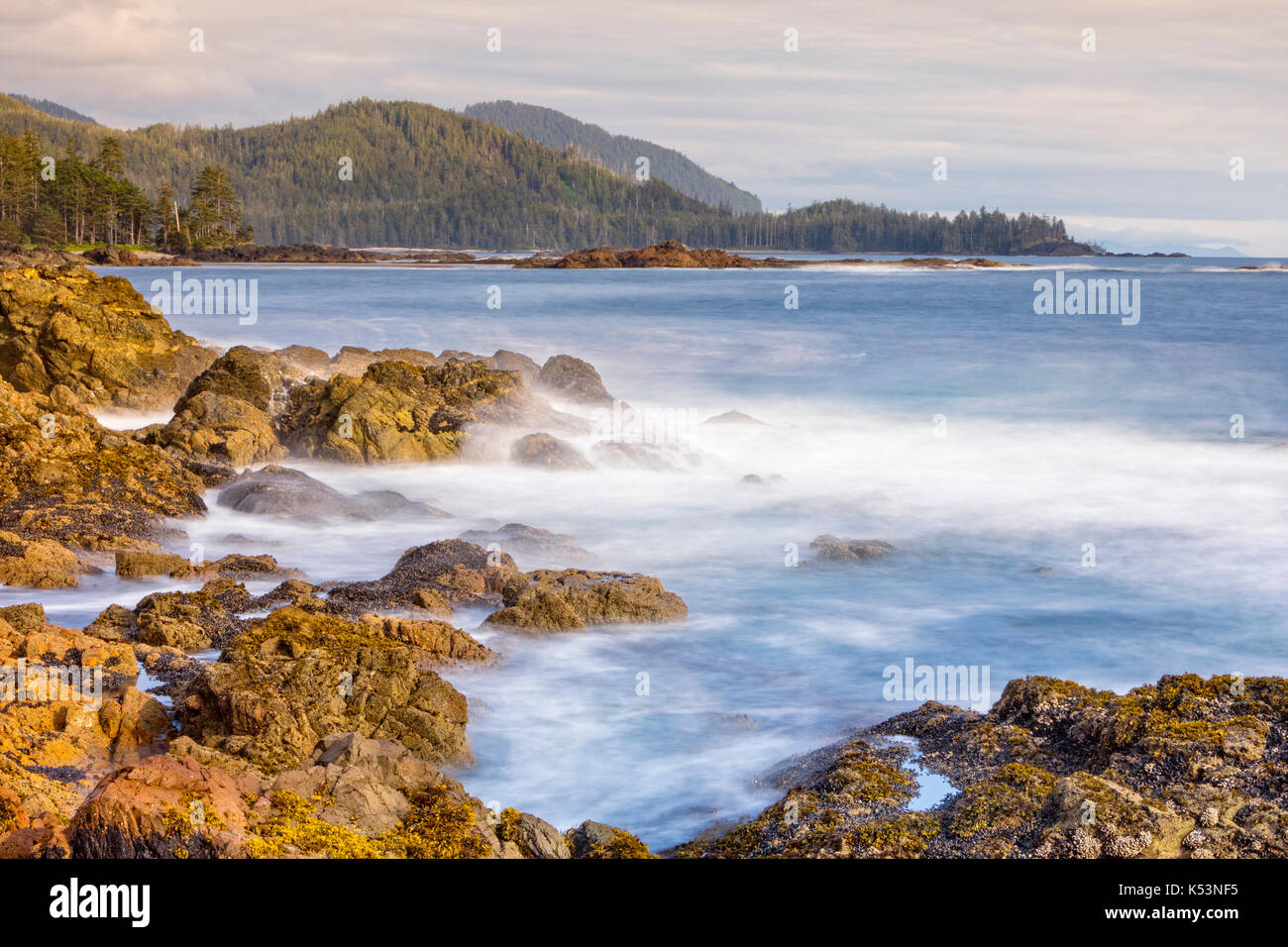 Cape scott provincial park hi-res stock photography and images - Alamy