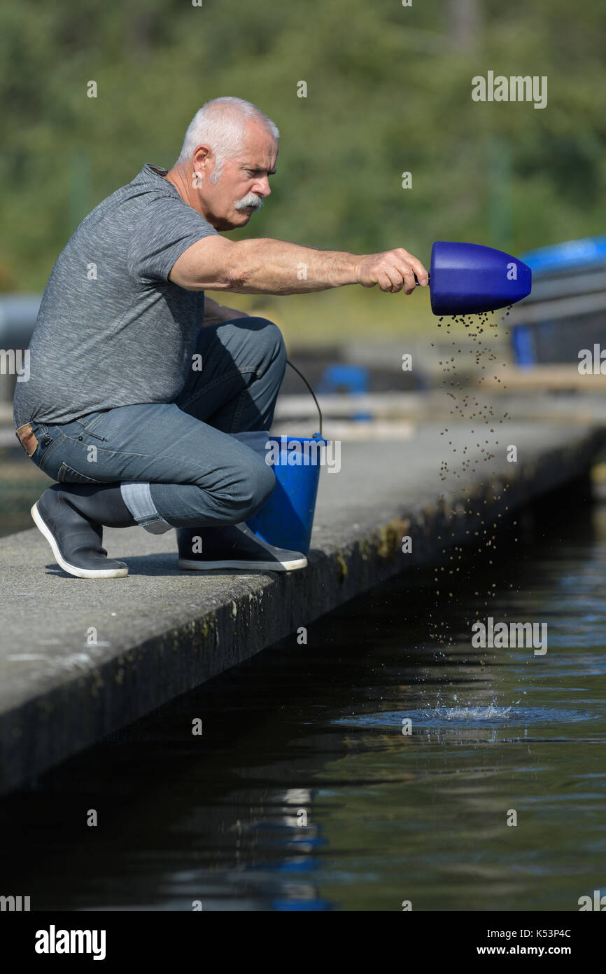 Royal project farm hi-res stock photography and images - Alamy
