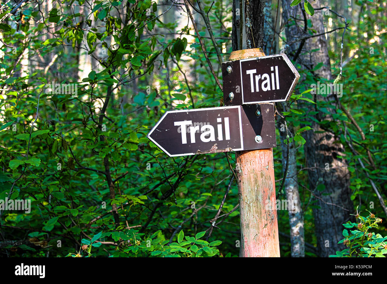 A hiking trail direction sign in the forest Stock Photo - Alamy