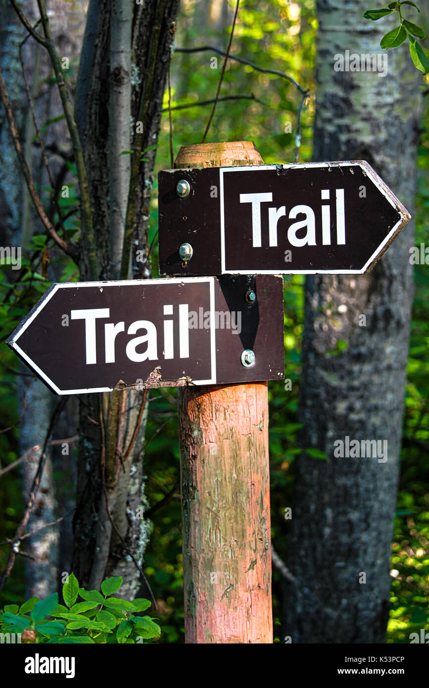 A hiking trail direction sign in the forest Stock Photo - Alamy