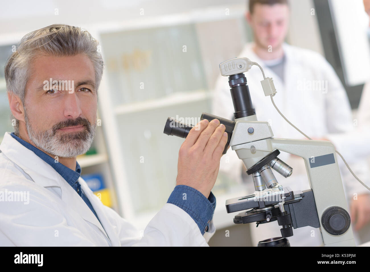 scientist examining sample with microscope in the laboratory Stock ...
