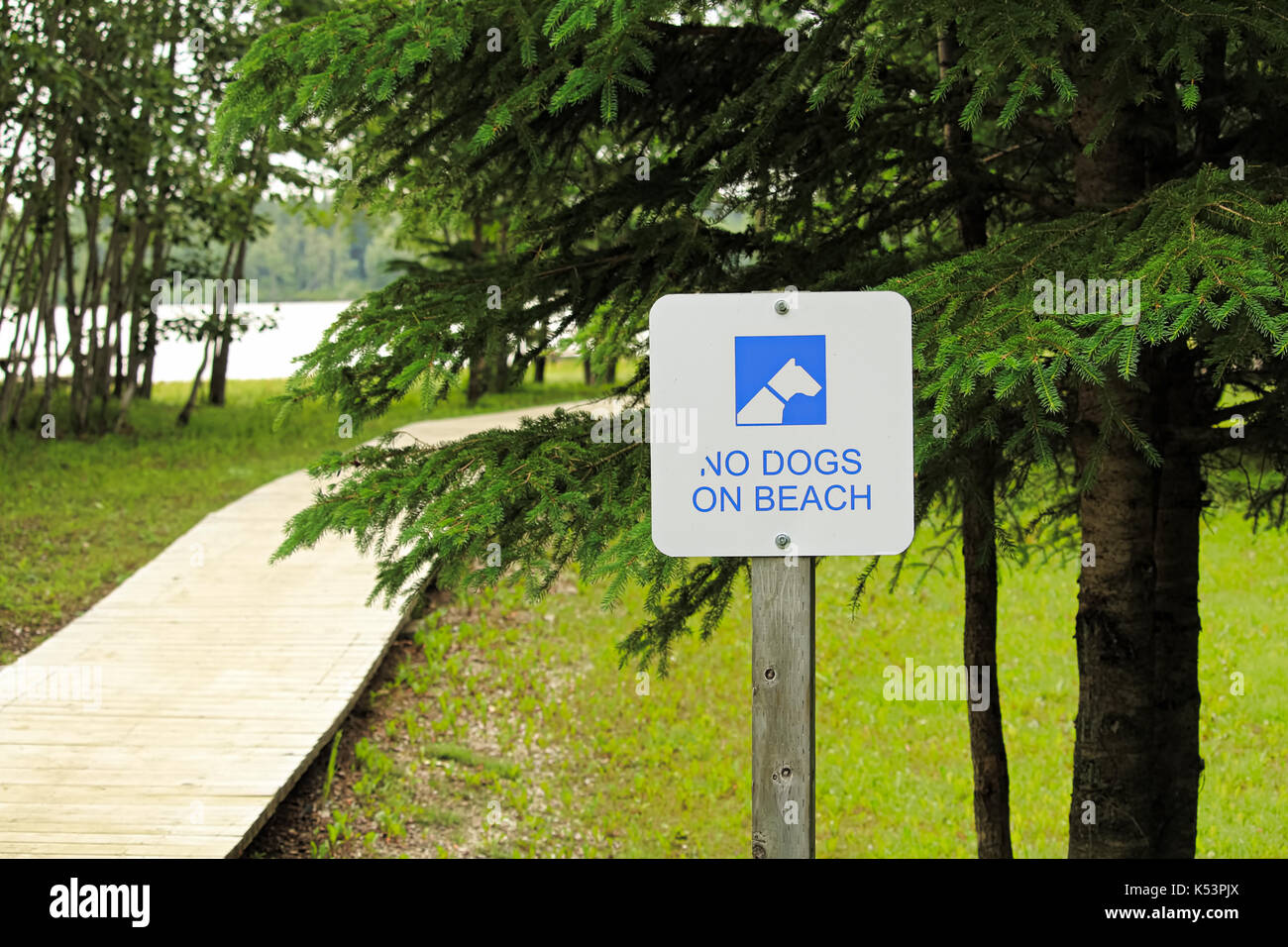 A white no dogs allowed on beach sign Stock Photo - Alamy